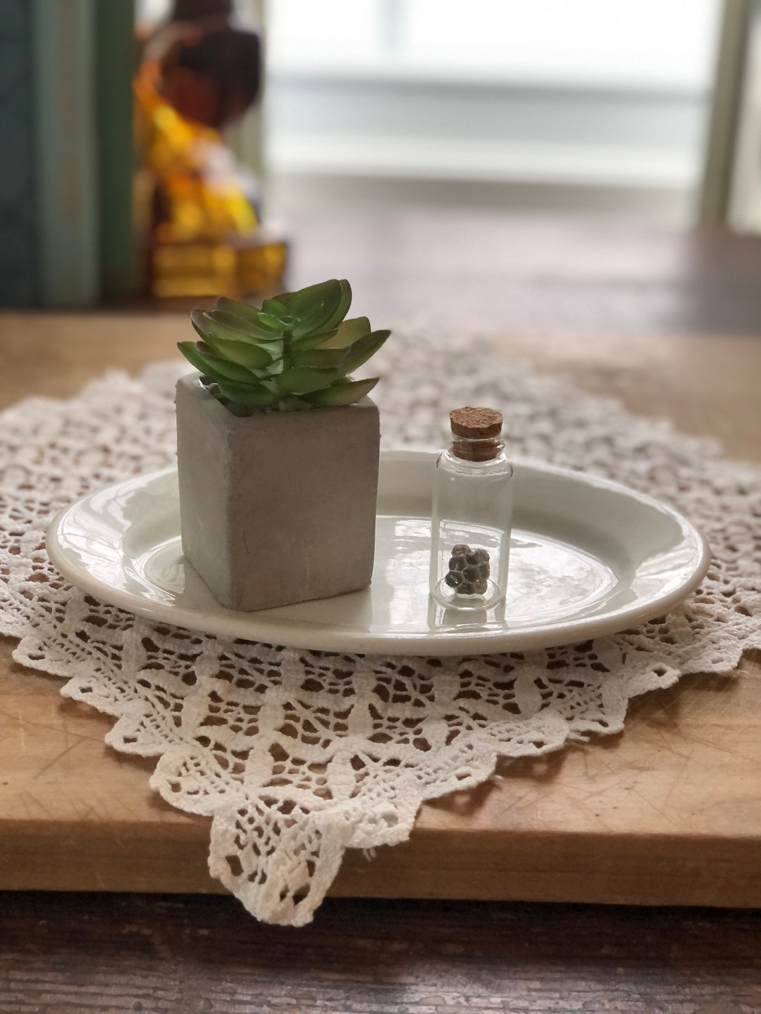 Natural Organic Wasp Nest, Wasp Honeycomb, Paper Wasp, Craft Supply ...