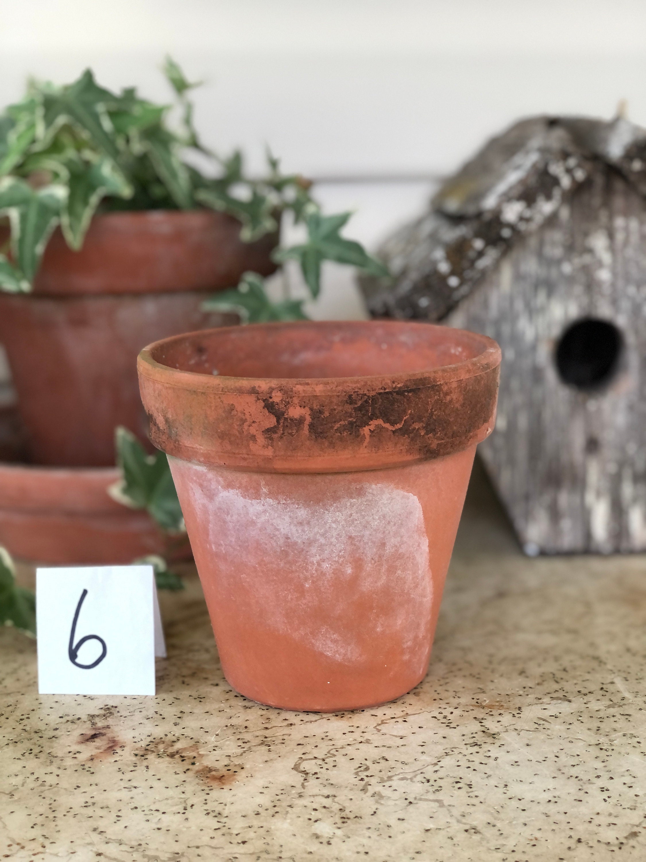 Vintage Small Terracotta Flower Pot Naturally Aged Terracotta | Etsy