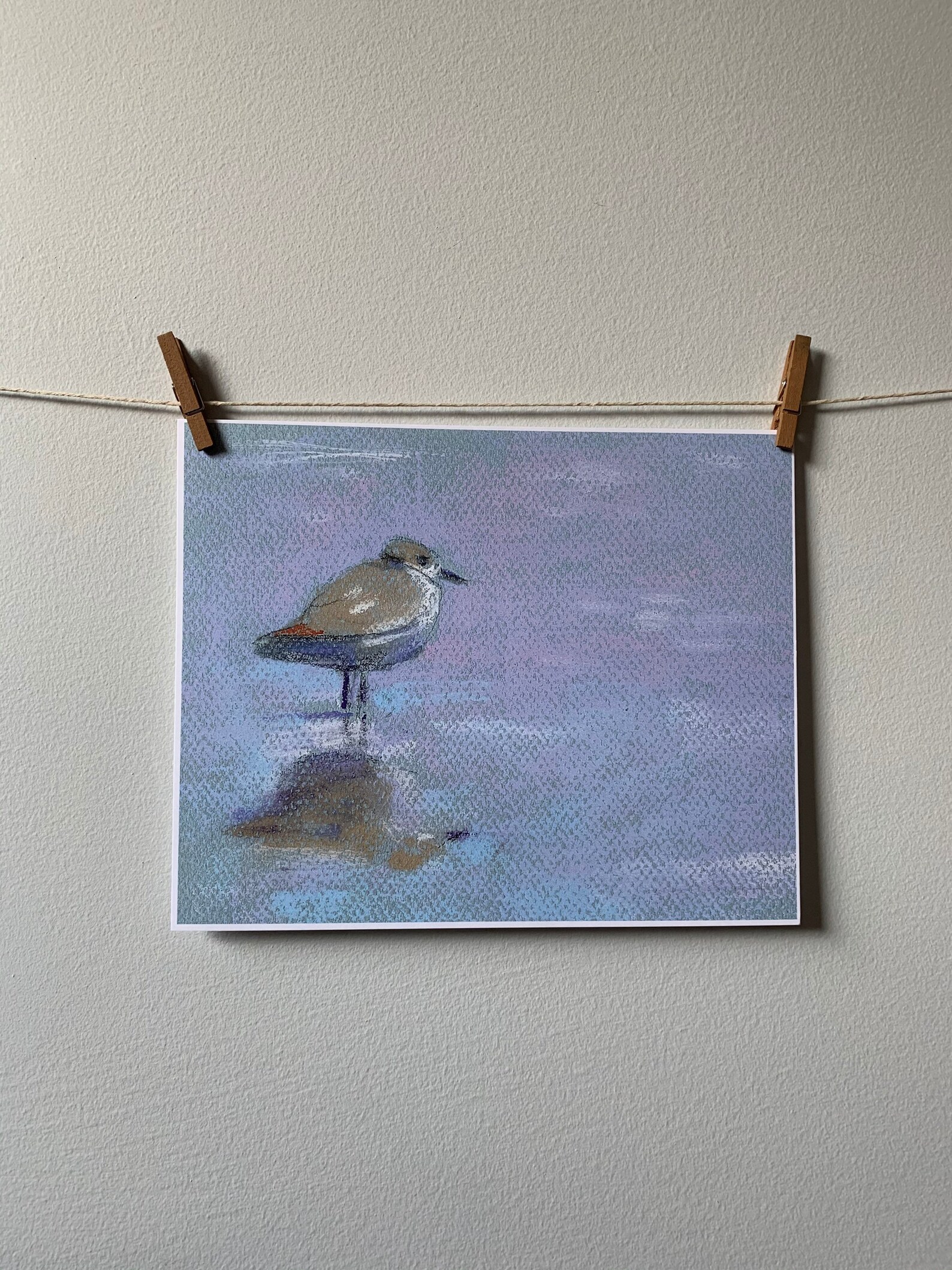 Bird Print Piping Plover Ocean Painting Art Print Oil - Etsy