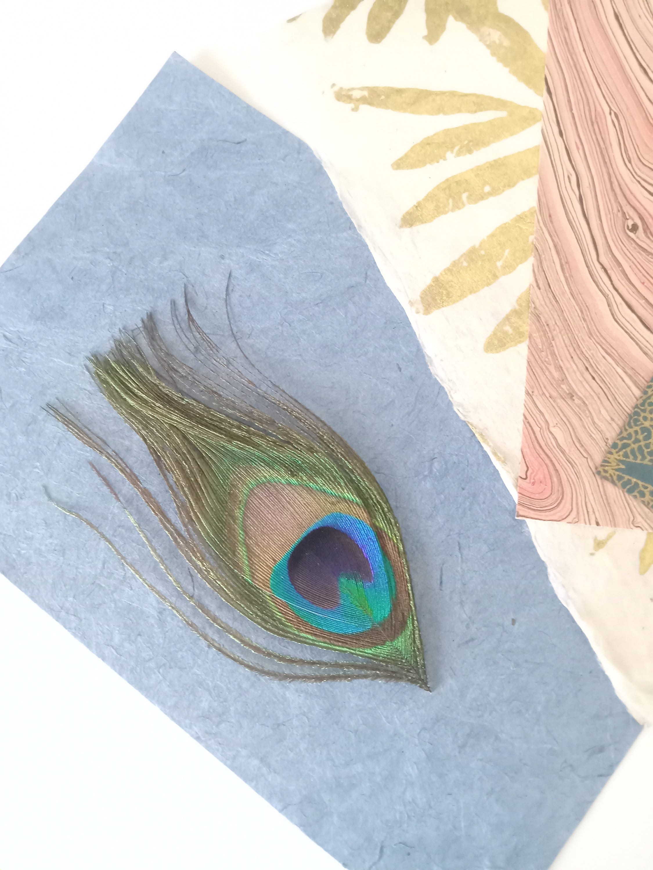 Concertina Booklet or Accordion Booklet With Printed Golden Butterflies ...