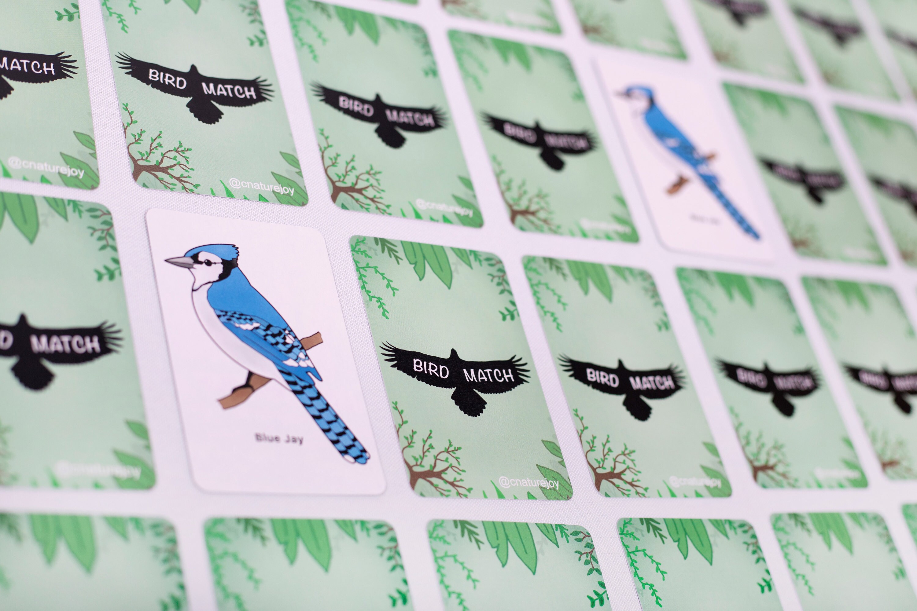 Birdmatch Game / Bird Game / Memory Match / Kid Games / Educational ...