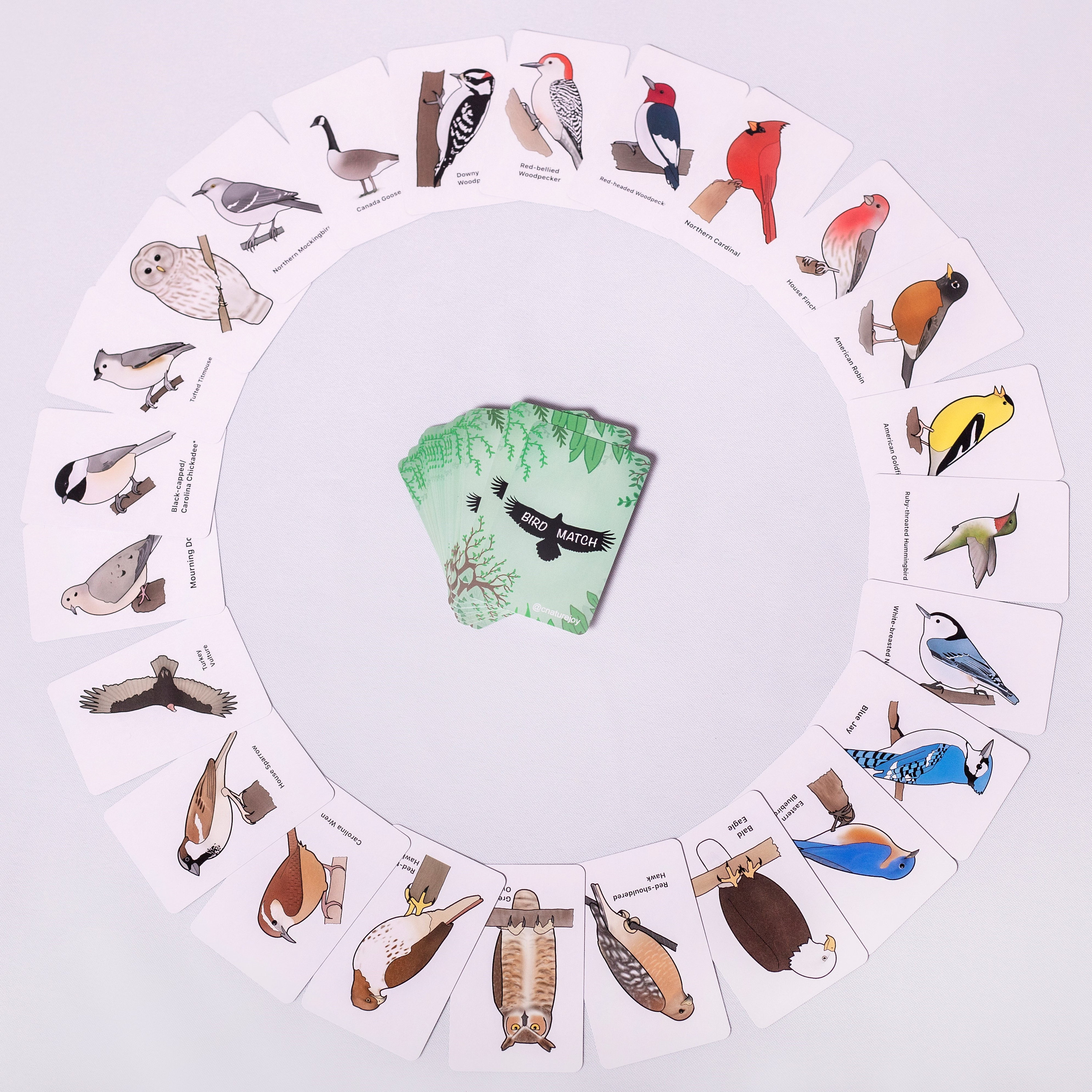 Birdmatch Game / Bird Game / Memory Match / Kid Games / Educational ...