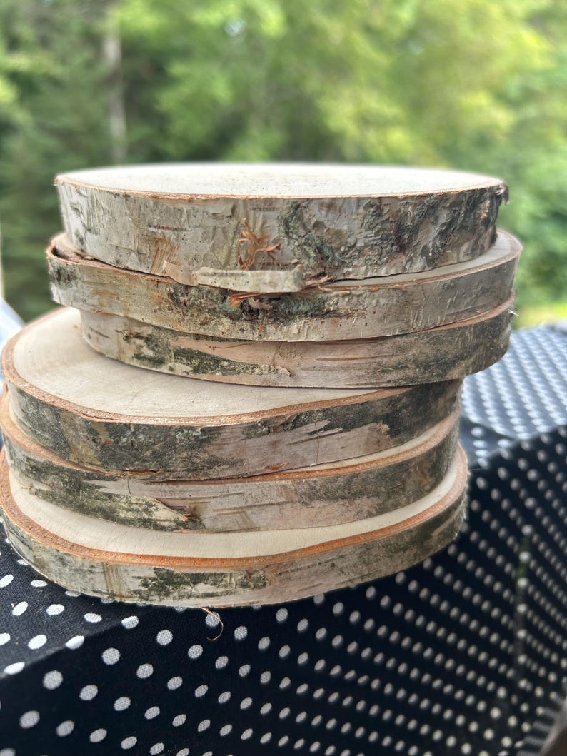 Large Thick Cut Birch Wood Slices( for Decor and Crafting) - Etsy