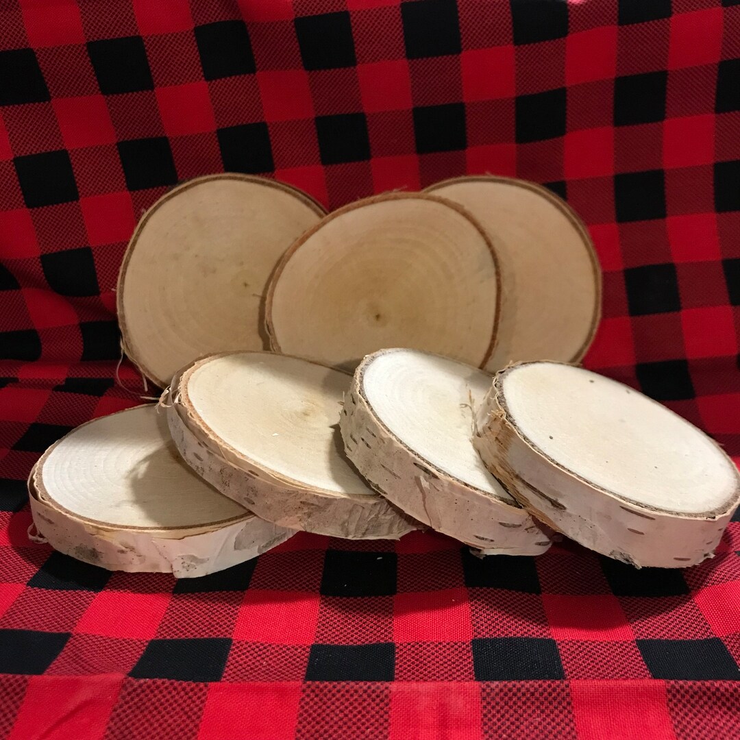 Birch Wood Slices -rounds - Used for Crafting and Decor (small Thin ...