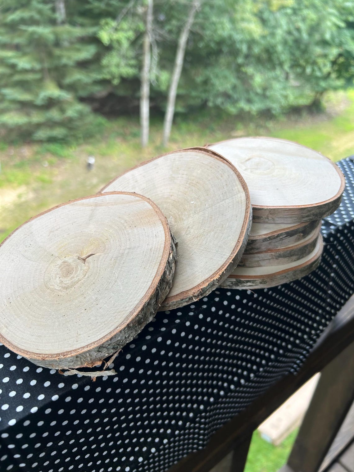 Large Thick Cut Birch Wood Slices( for Decor and Crafting) - Etsy