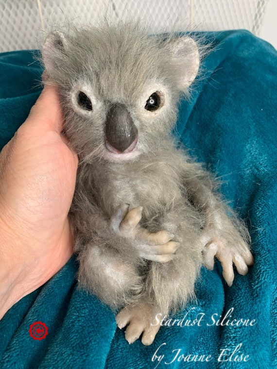 Baby Koala