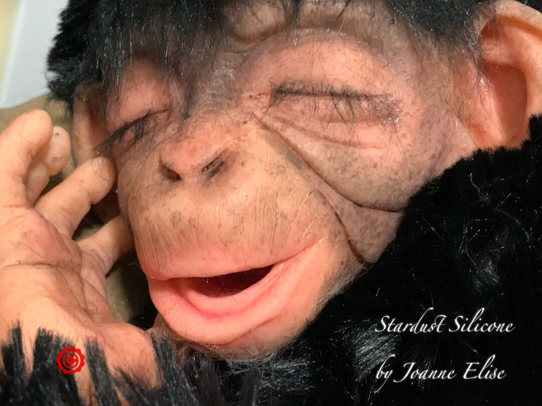 Koko the Chimpanzee - Etsy