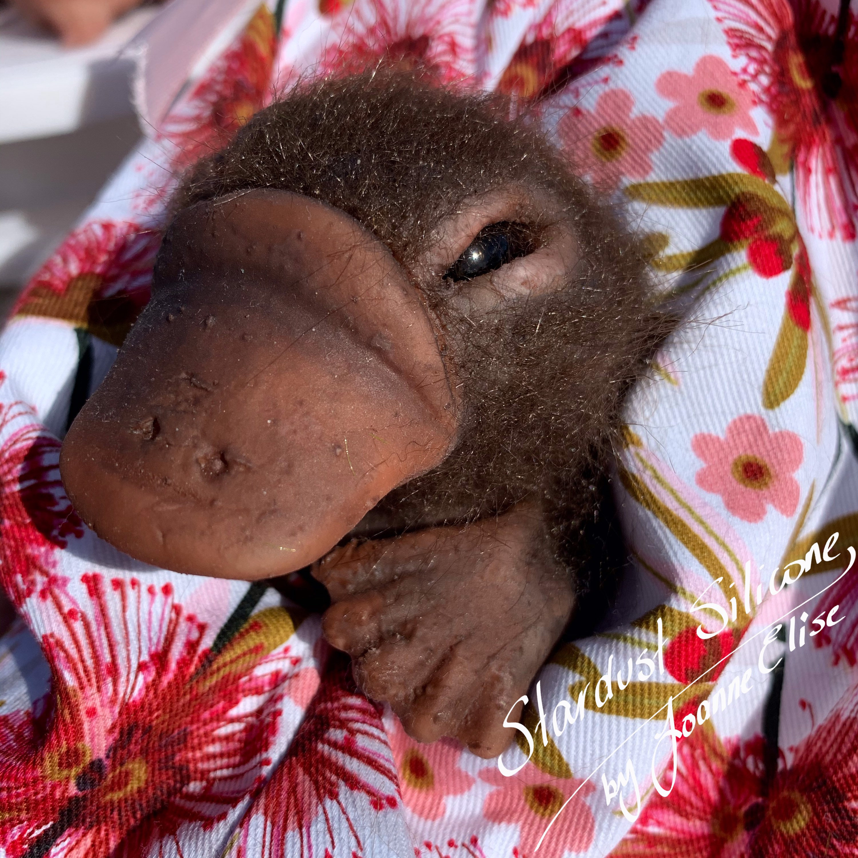 Snuggle the Puggle baby Platypus - Etsy UK