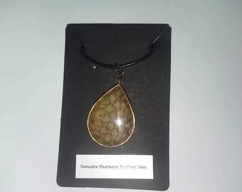 Burmese Python Skin - Etsy