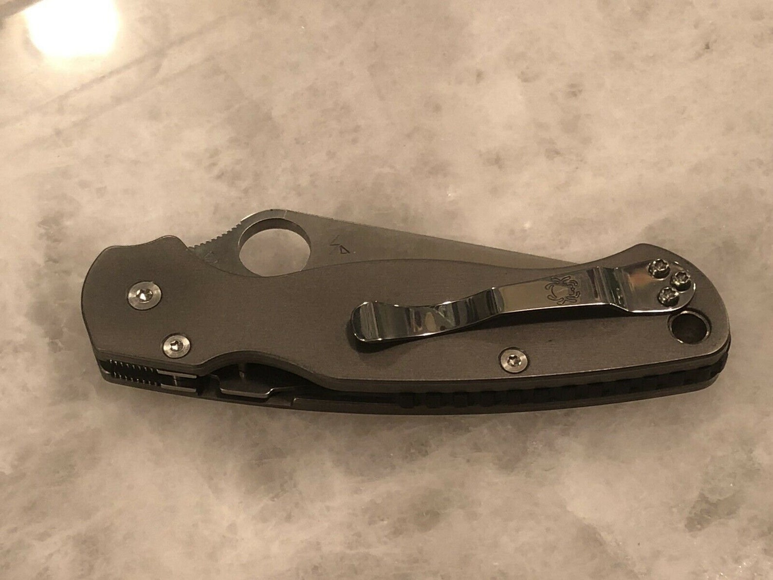 Replacement Scale, Pivot & Pocket Clip Screws for Spyderco Paramilitary ...
