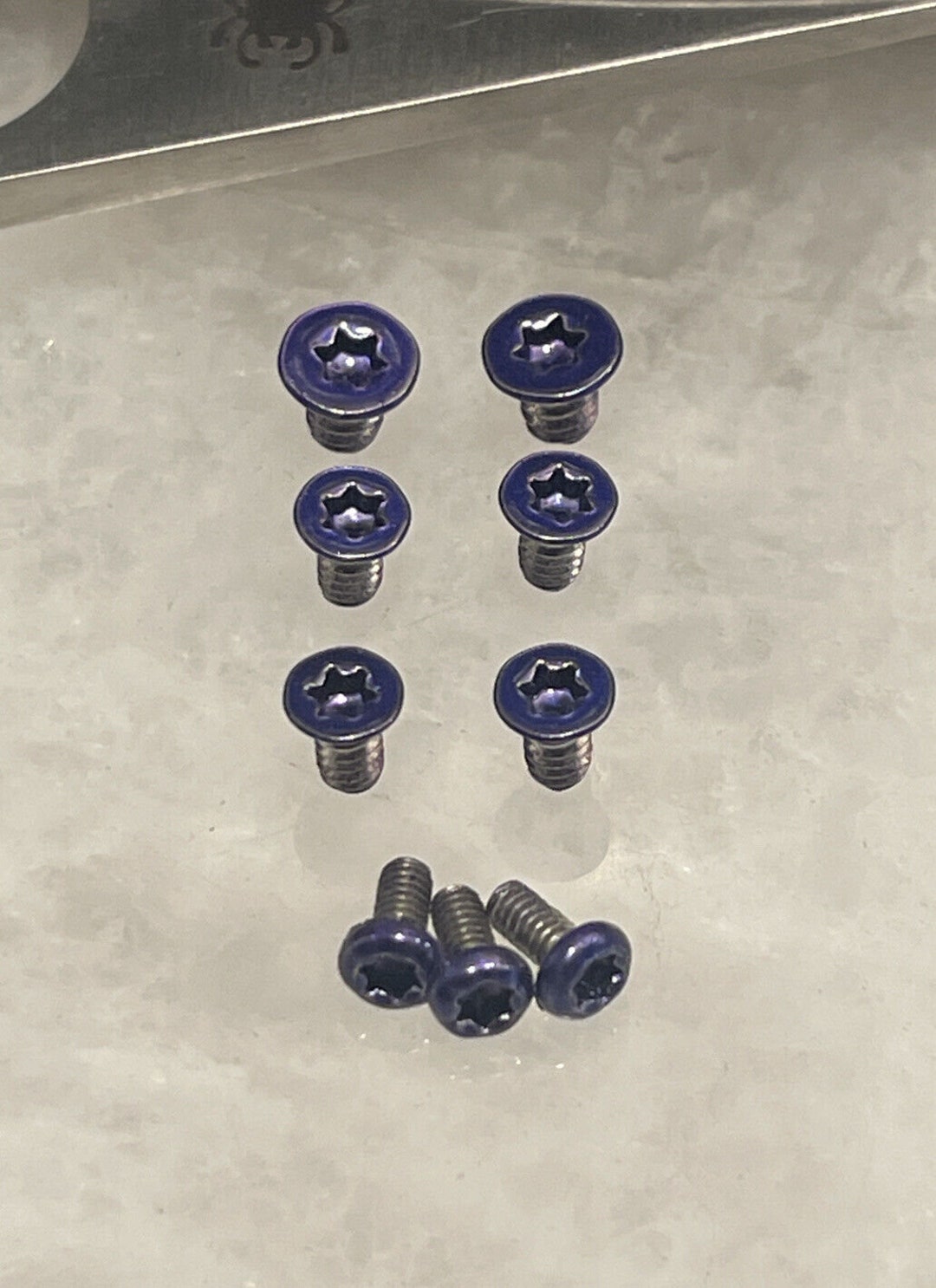Blurple Stainless Torx Screws Set for Paramilitary 2 G10 Knife 9pcs - Etsy