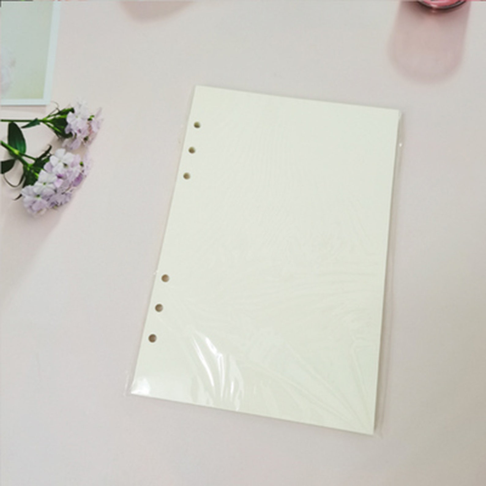 Planner Binder PVC Zipper Binder Cute Binder Empty Binder | Etsy UK