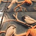 Ceramic Tile Birds Nature Tile Inspired Permanent Print, Please Read ...
