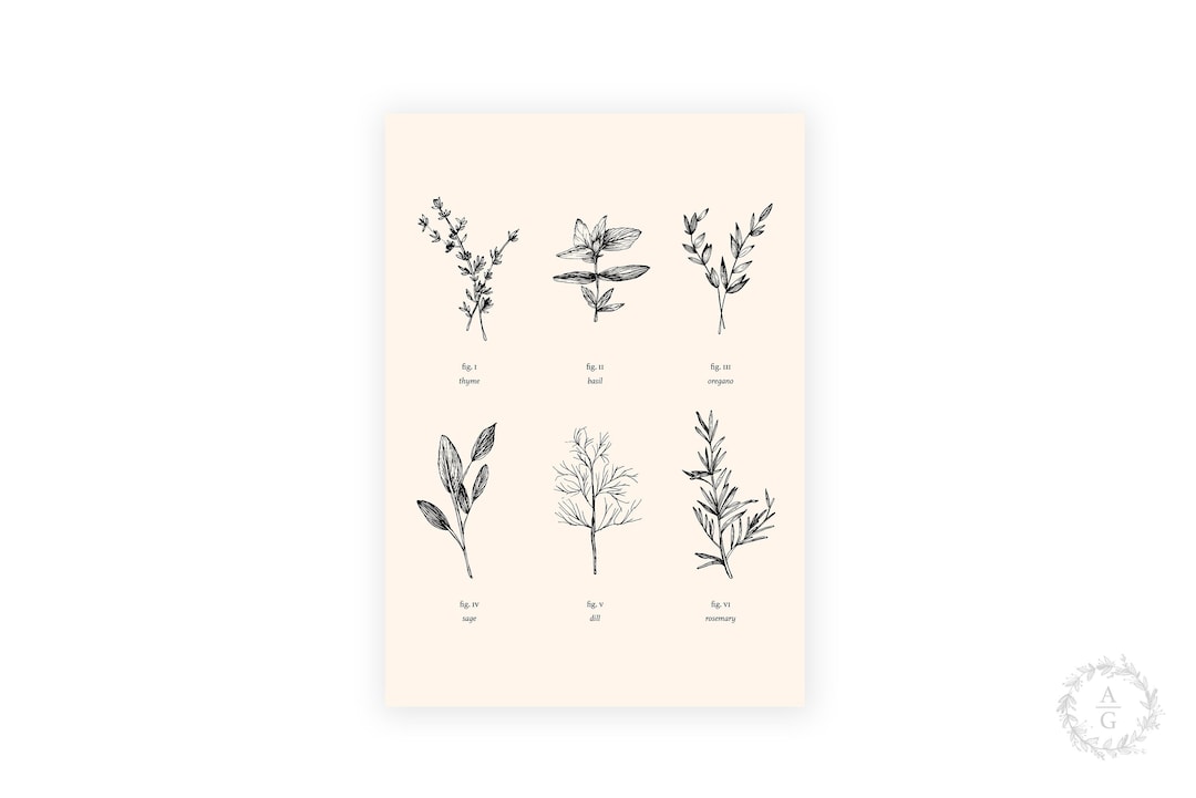 Herbs Line Drawing Black and White Botanical Fine Art Wall Print - Etsy