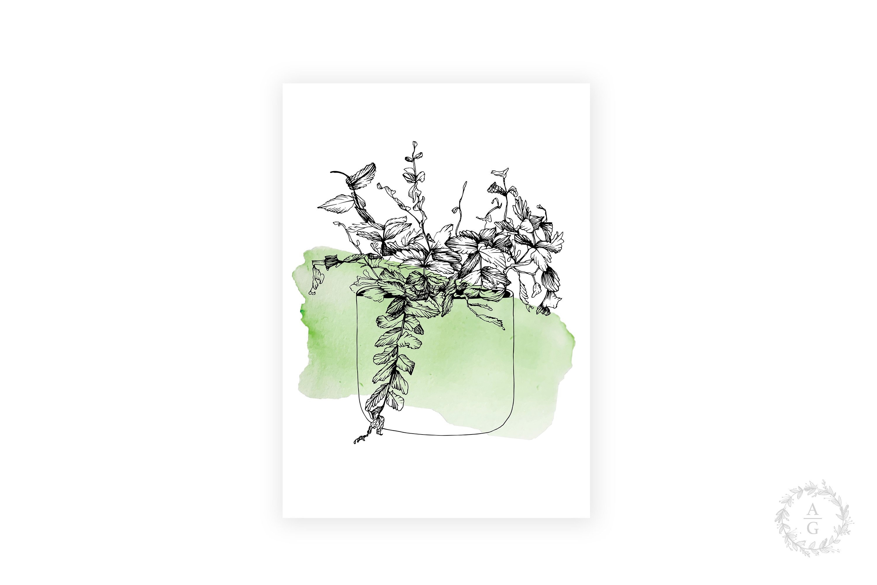 Potted Fern Watercolour Fine Line Drawing Botanical Fine Art Wall Print ...
