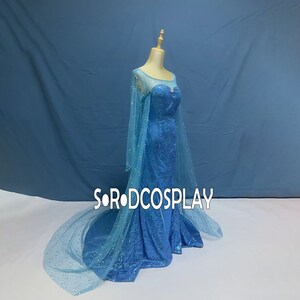 Princess Elsa Dress Frozen Elsa Dress Cape Blue Cosplay Costume Custom ...