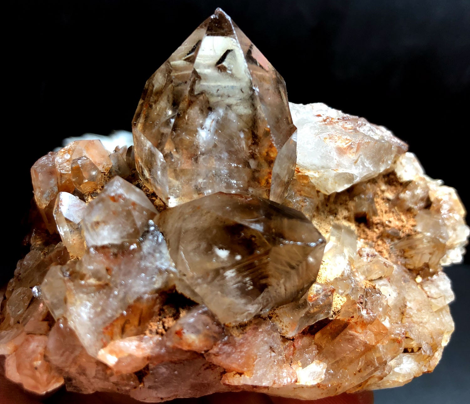 253g SCEPTERS! Super SMOKY Skeletal Amethyst Quartz Crystal Healing ...