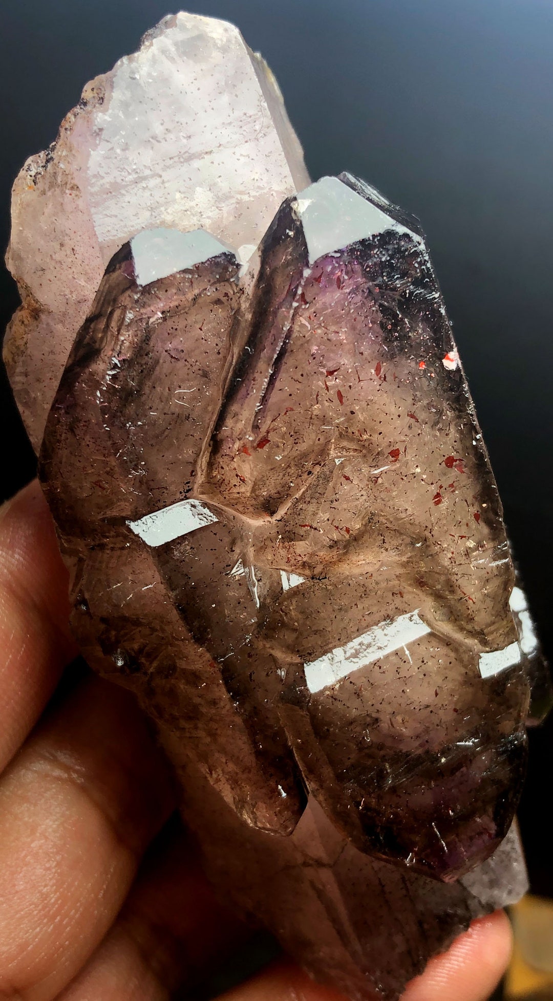 243g 1PC SCEPTERS super Seven Skeletal Amethyst Quartz Crystal ...