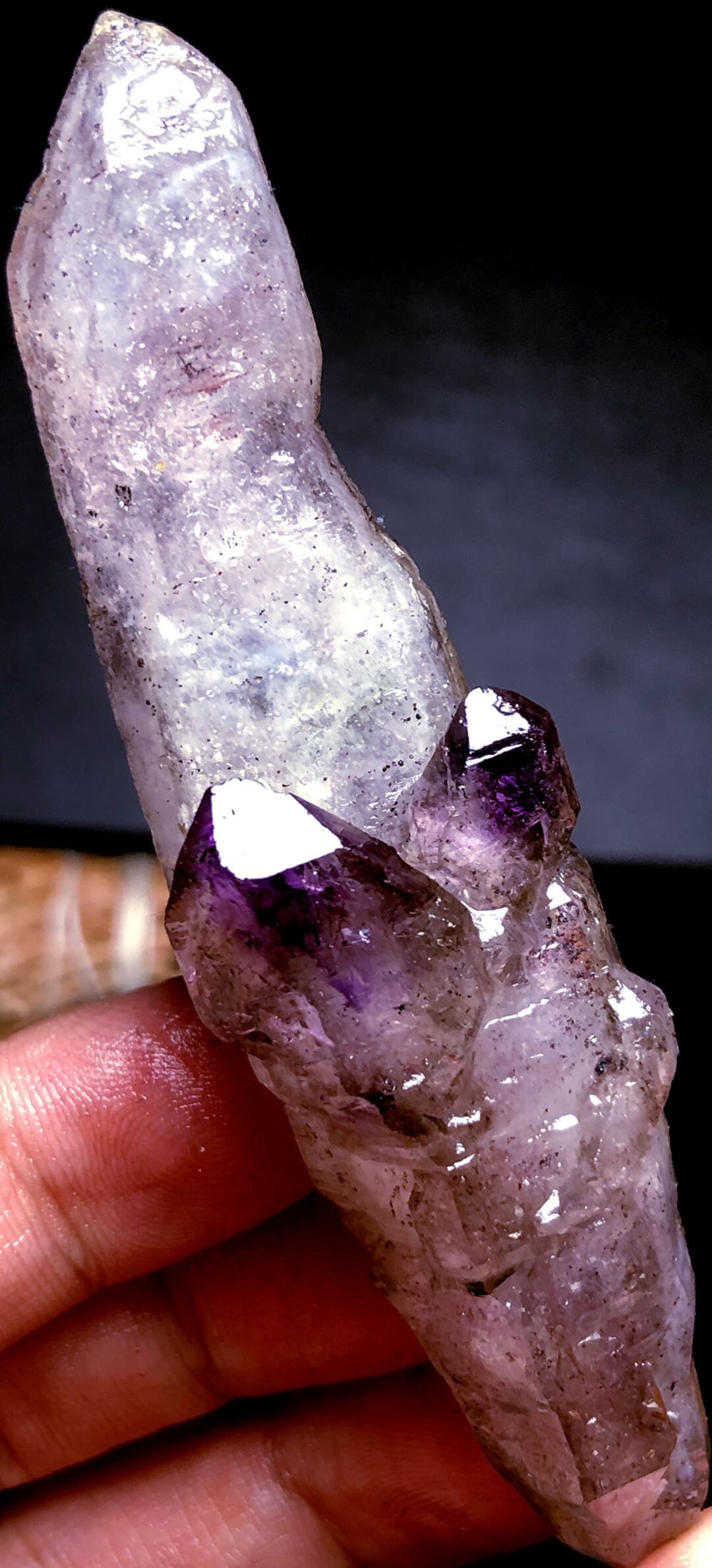 55g Scepters!super Seven Skeletal Amethyst Quartz Crystal DT ...