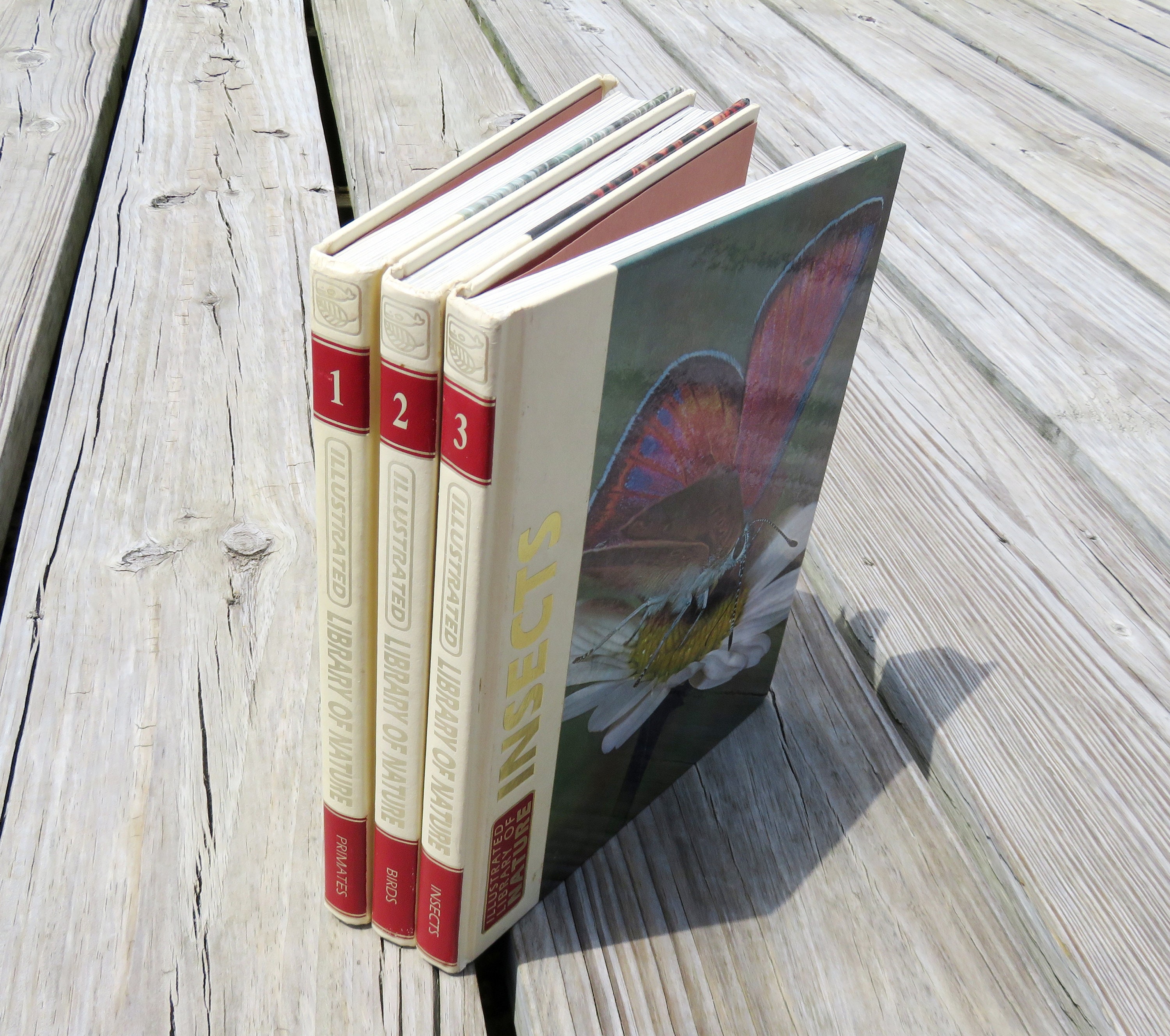 Vintage Illustrated Library of Nature Book Set // 1984 Library of ...