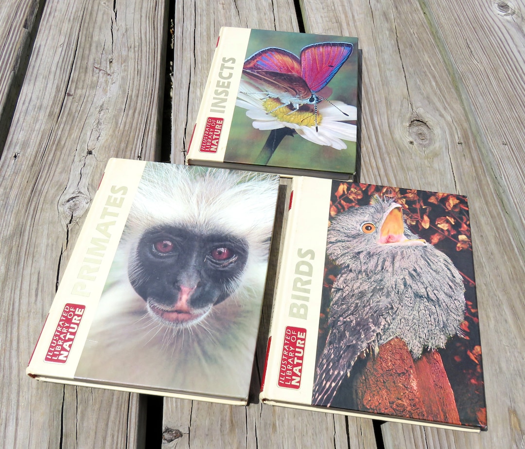 Vintage Illustrated Library of Nature Book Set // 1984 Library of ...