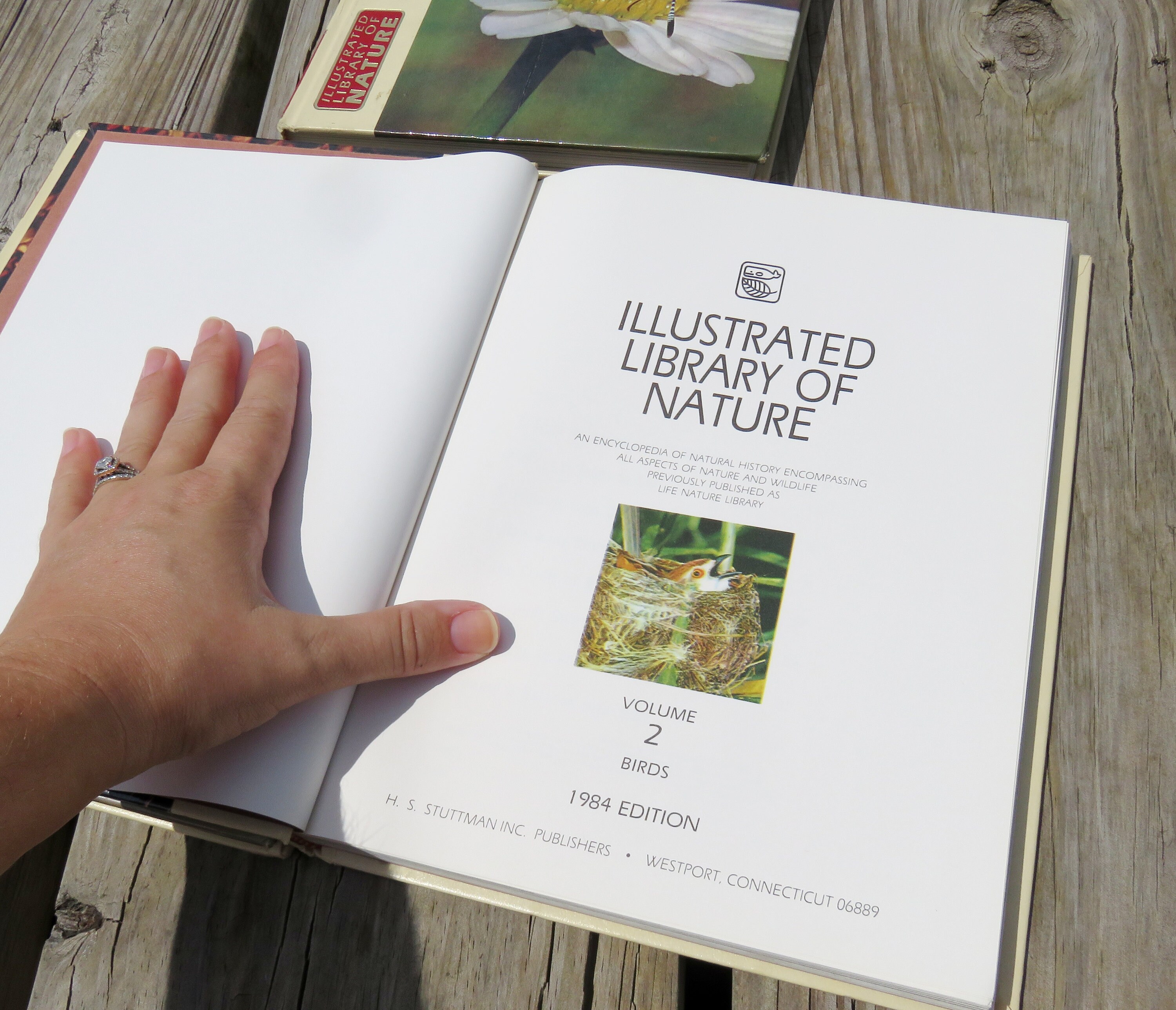 Vintage Illustrated Library of Nature Book Set // 1984 Library of ...
