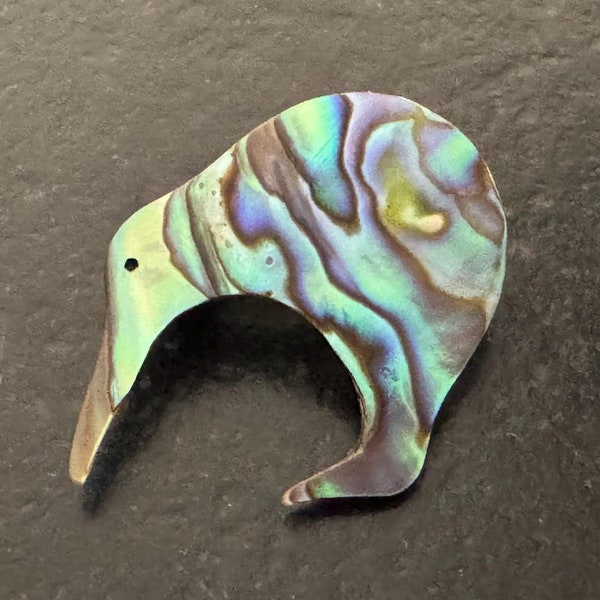 Paua Shell Kiwi - Etsy New Zealand
