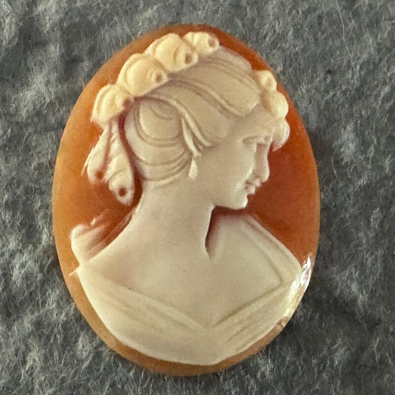 Shell Cameos - Etsy