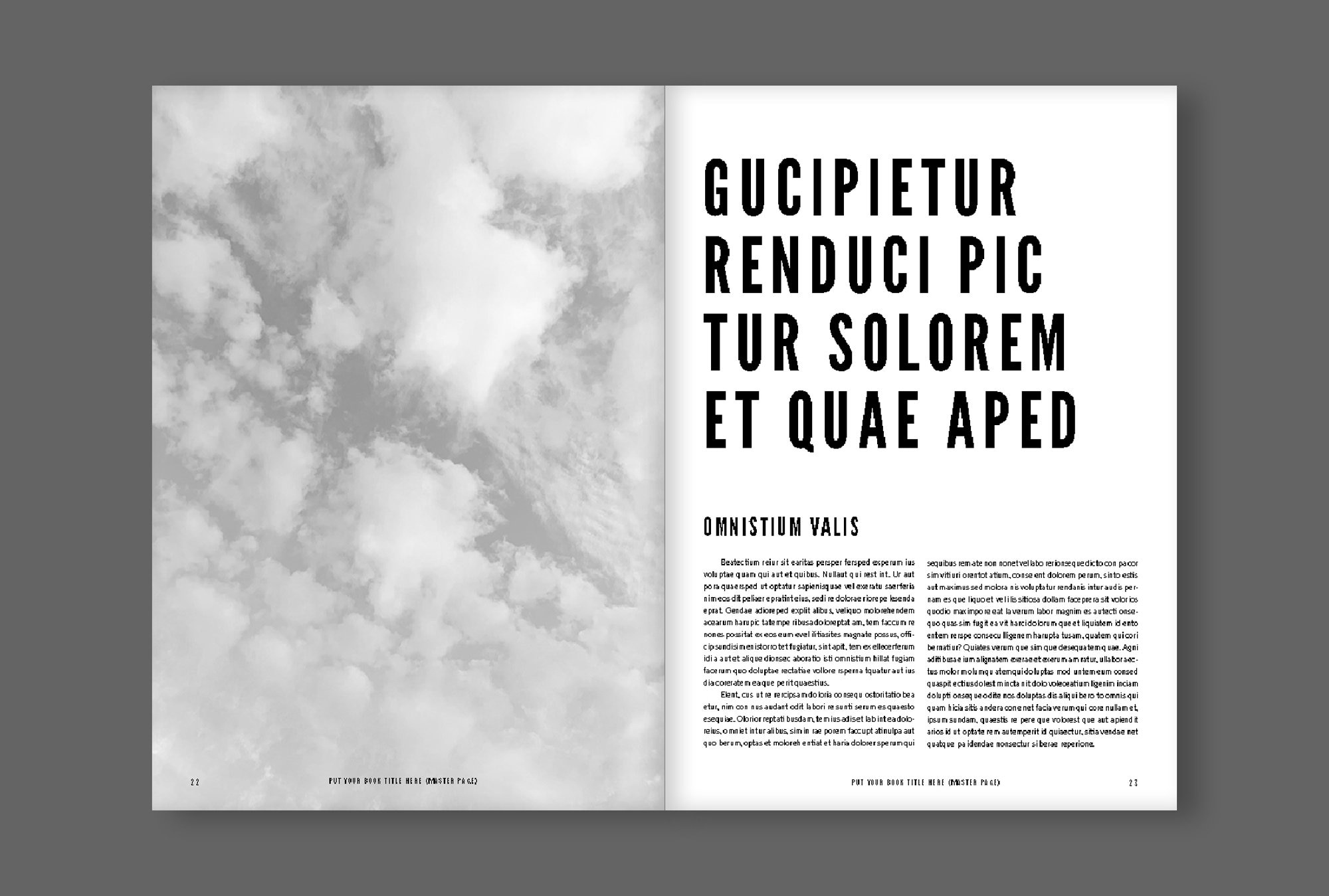 Modello di layout per rivista / Rivista digitale / InDesign / Stampa ...