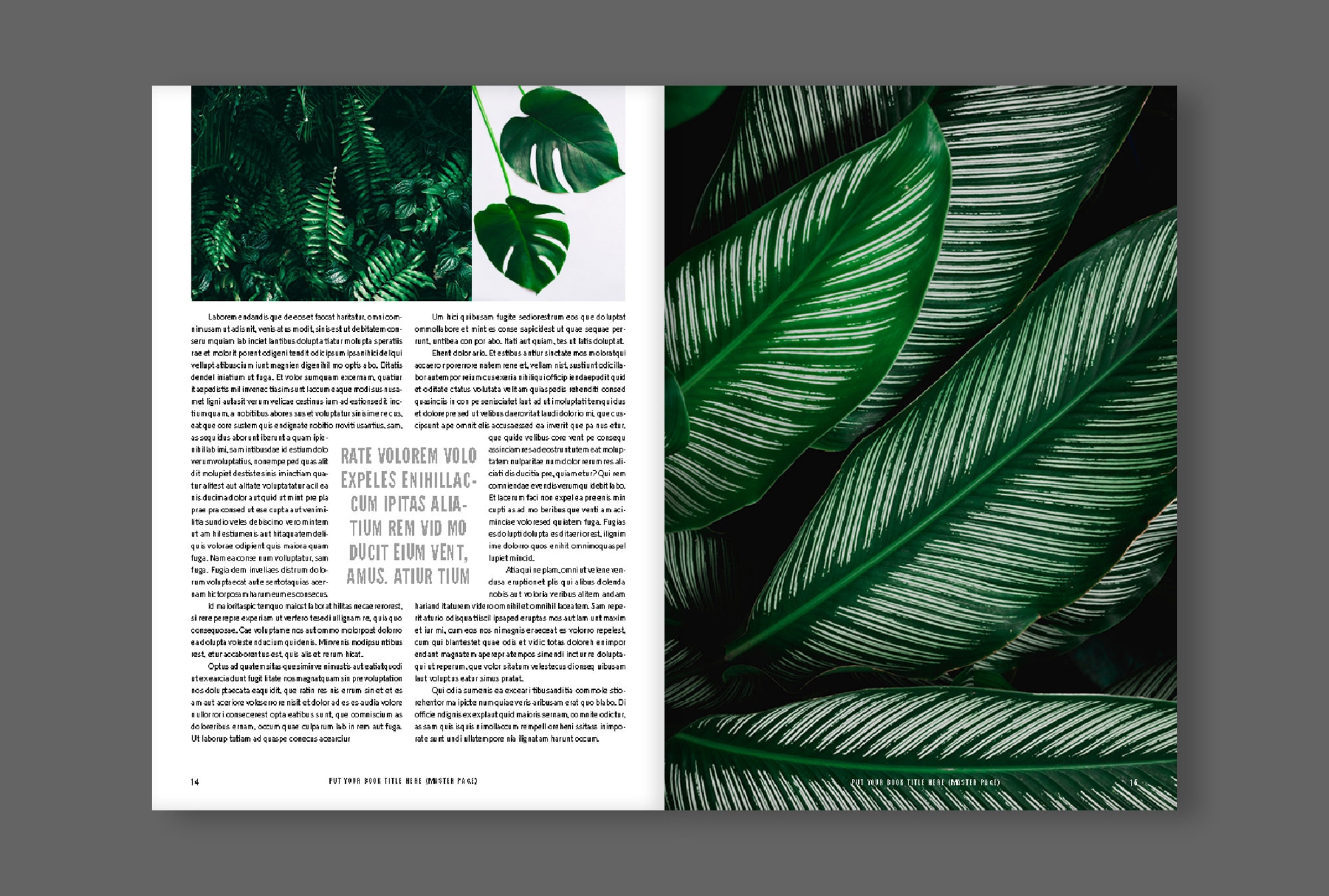 Modello di layout per rivista / Rivista digitale / InDesign / Stampa ...