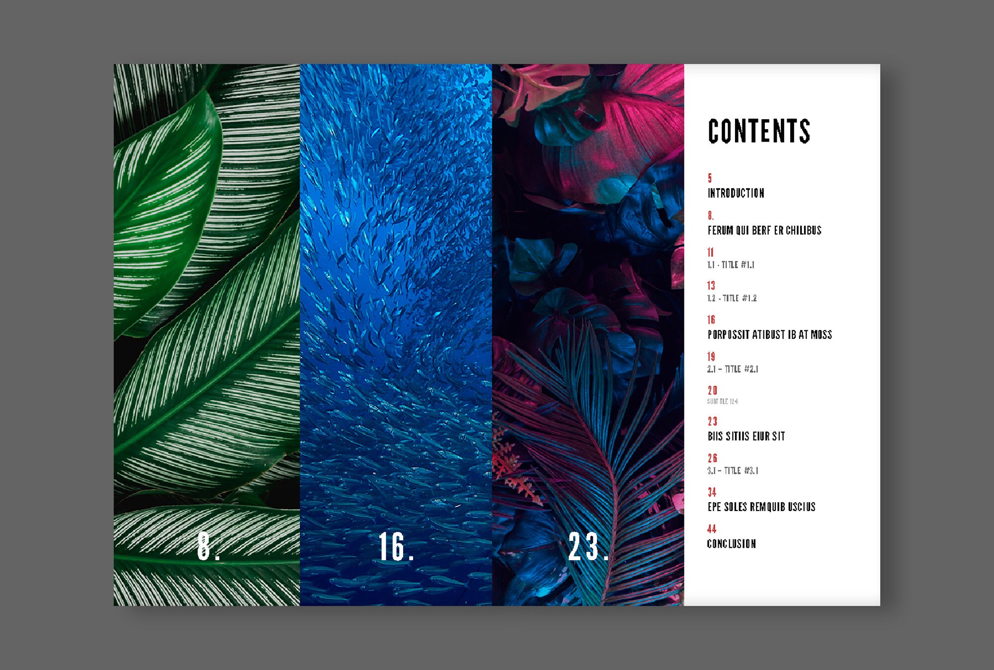 Book Layout Template | Print Template | Indesign Template | Photography ...