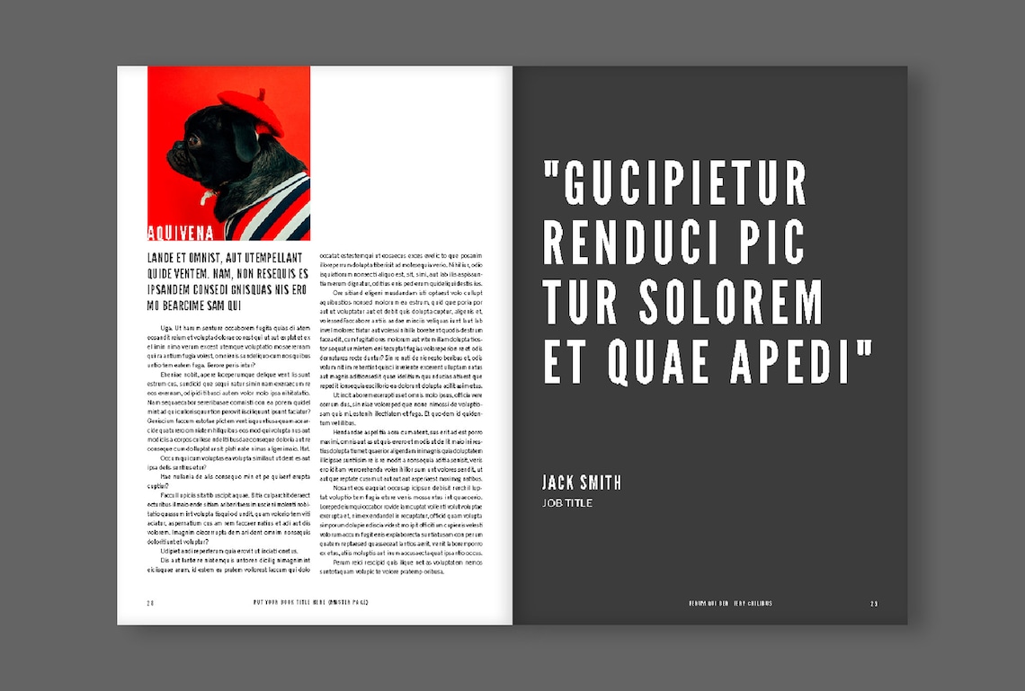 Modello di layout per rivista / Rivista digitale / InDesign / Stampa ...