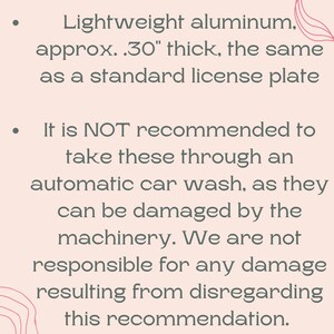 Shark License Plate Frame, Beachy Car Decor, Ocean Themed Car ...