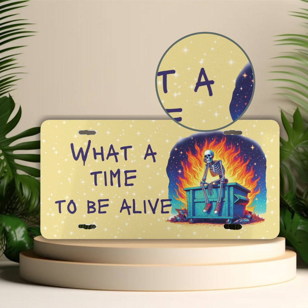 Funny Skeleton Dumpster Fire License Plate - Goth Car Decor - Etsy