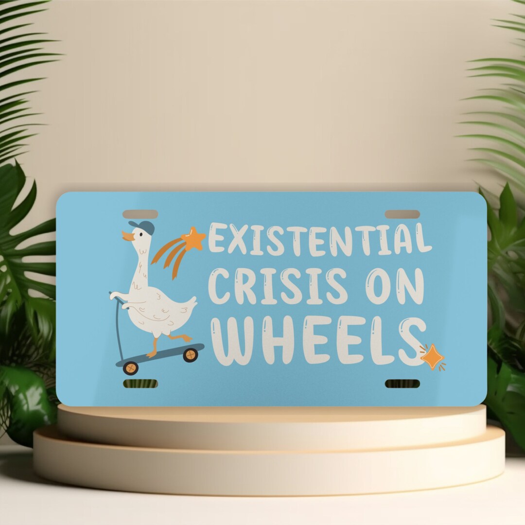 Funny Goose Aluminum License Plate: Gen Z Meme Car Decor - Etsy