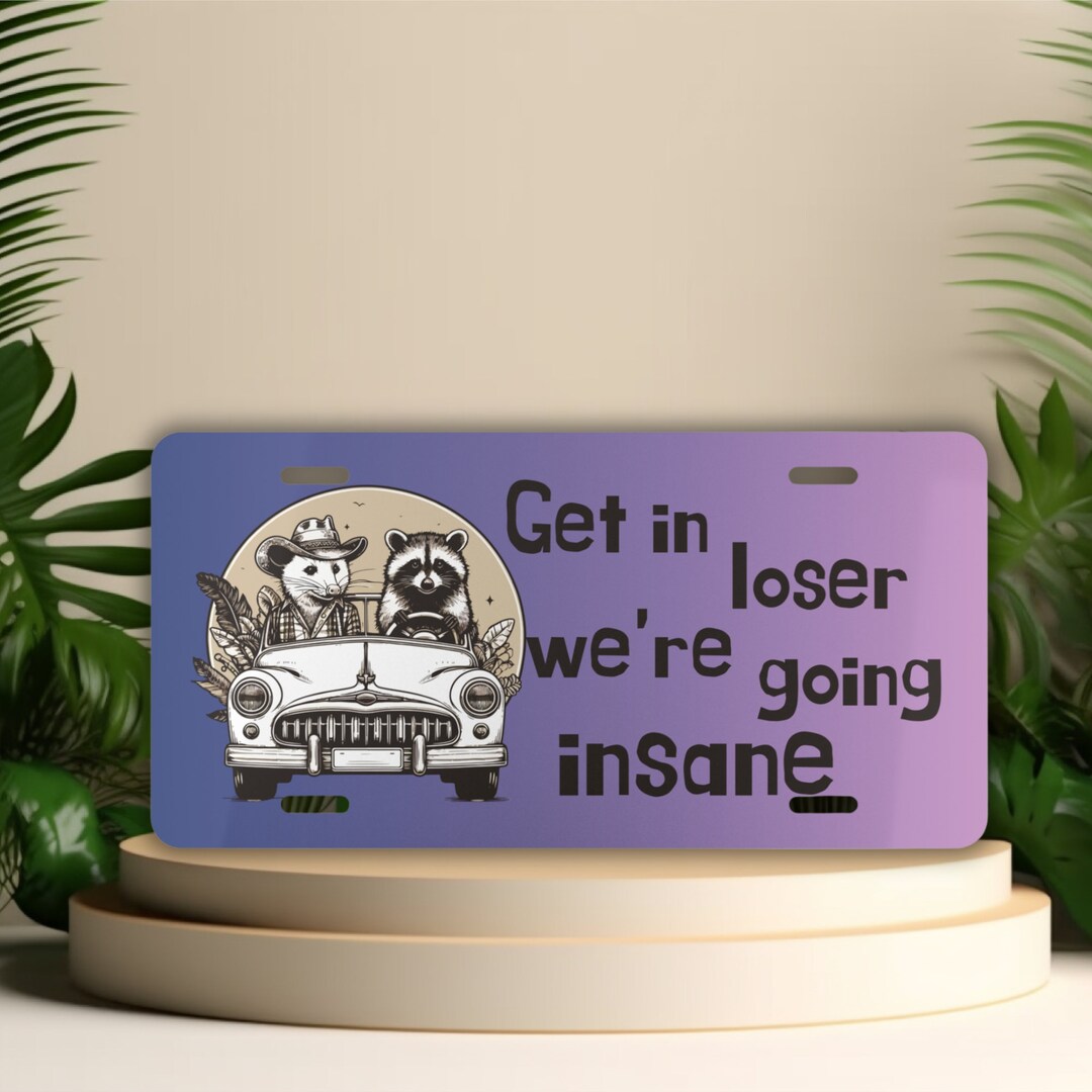 Funny Possum Raccoon License Plate: Meme Car Decor - Etsy