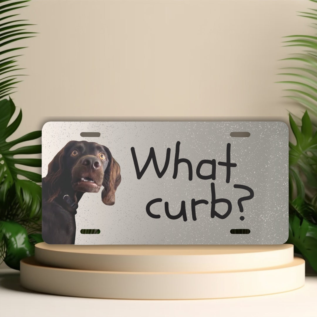 Funny Front License Plate, Confused Dog Meme Vanity Car Tag, What Curb ...