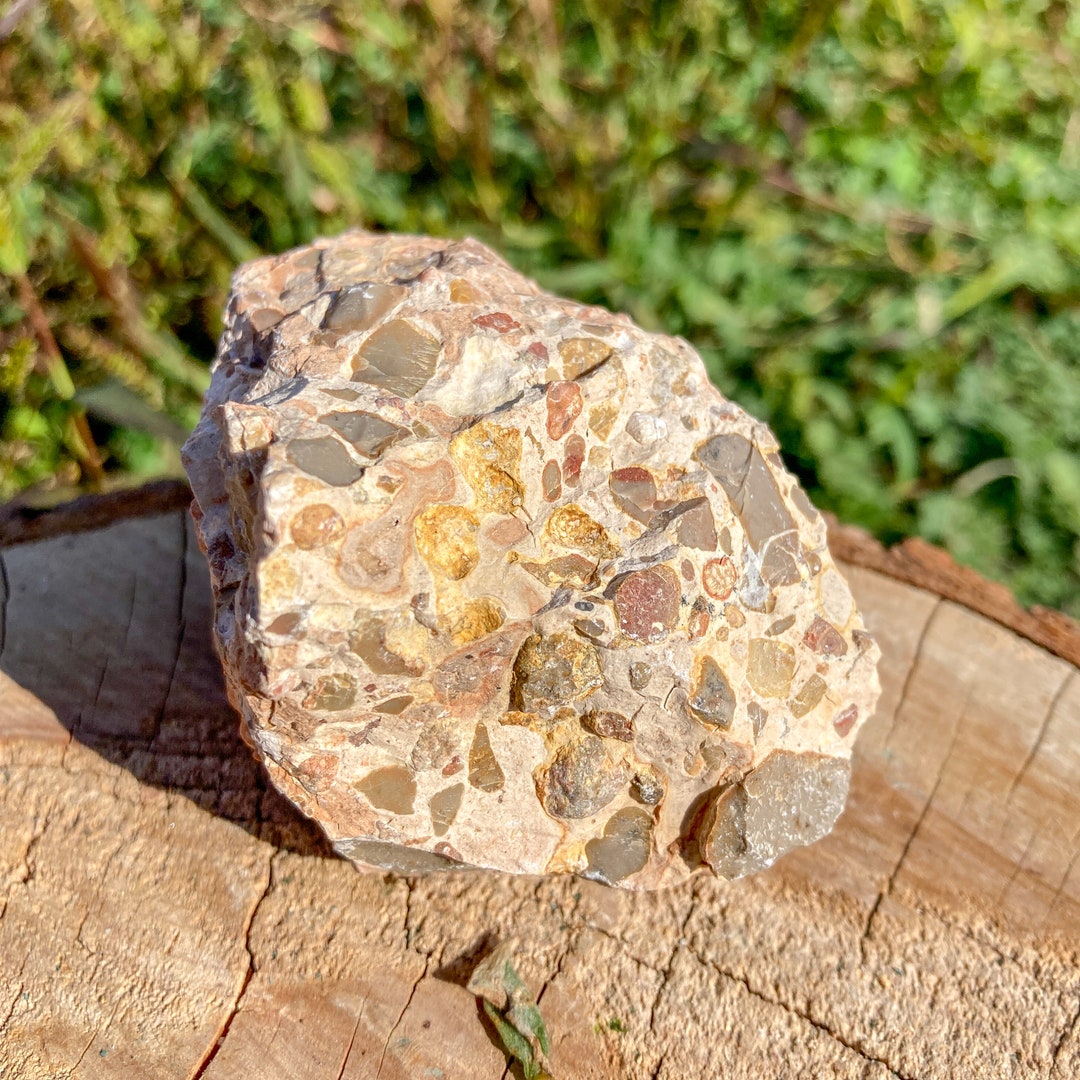 Raw Leopardite Jasper Crystal / Rough Leopard Skin Stone / Spirit ...