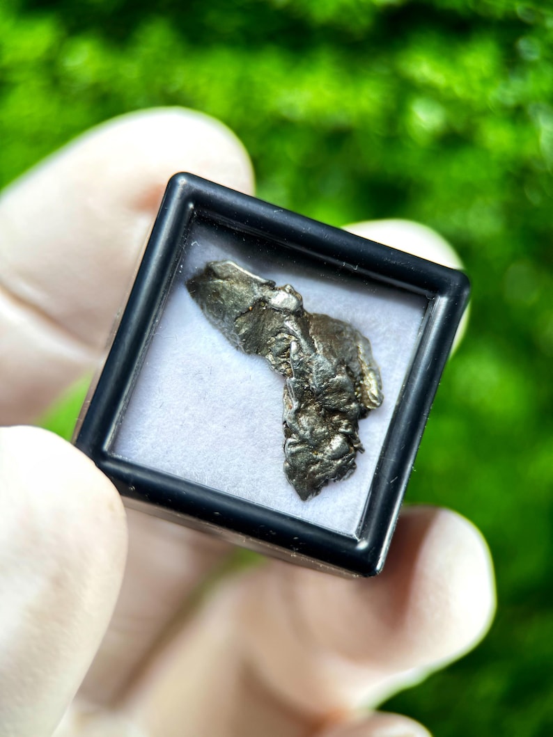 Genuine Aletai Iron Meteorite / From the Asteroid Belt Between MARS AND ...