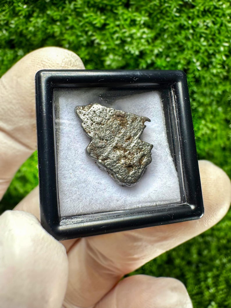 Genuine Aletai Iron Meteorite / From the Asteroid Belt Between MARS AND ...