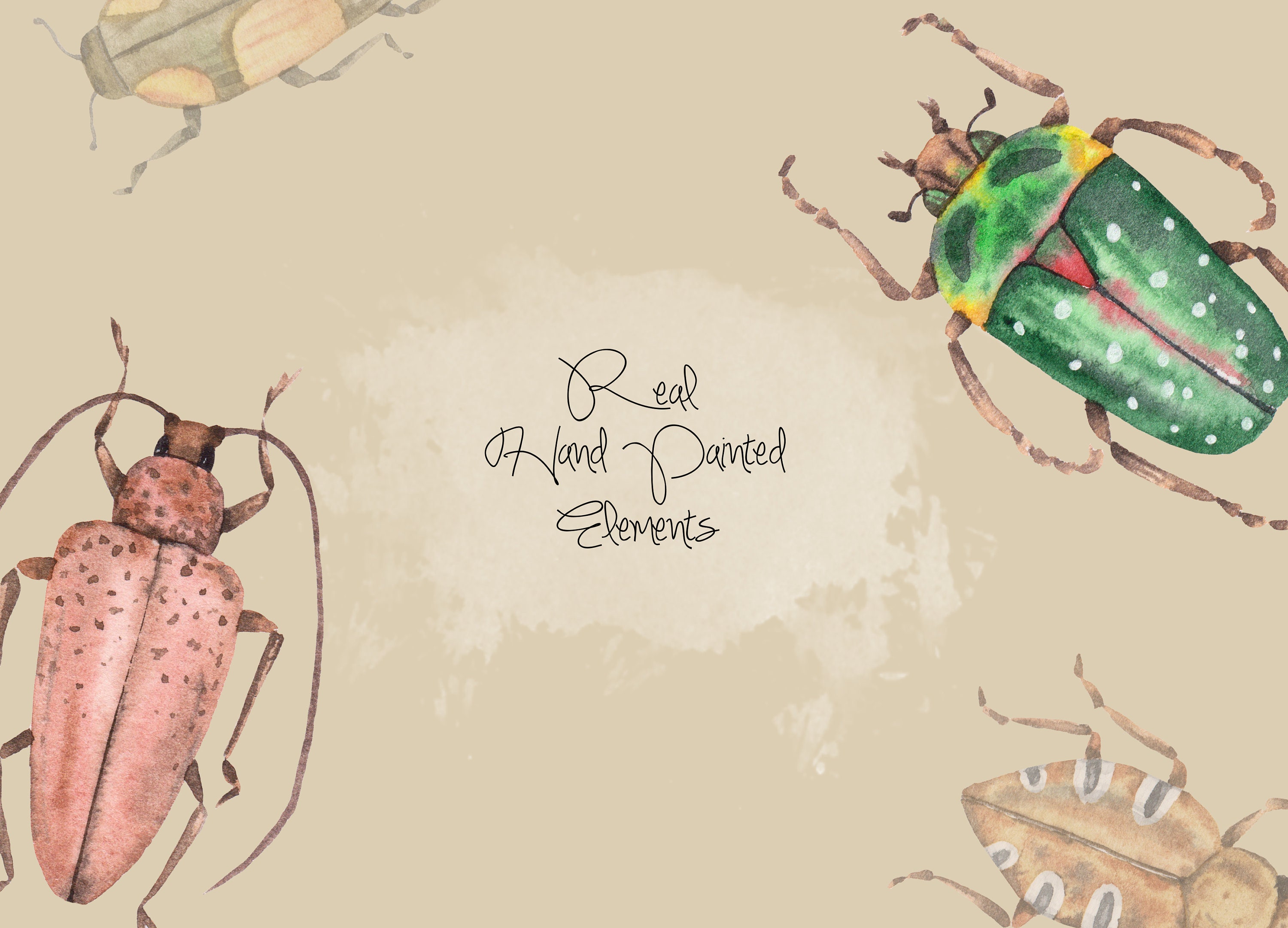 Bug Watercolor Clip Art, Printable Clipart,beetles, Scarabeus ...