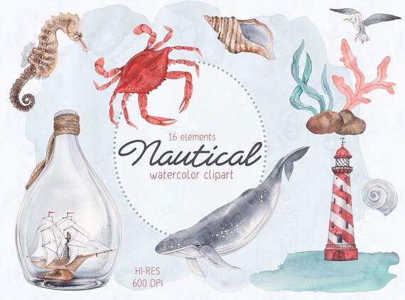 Watercolor Nautical Clipart Beautiful Sea Creatures | Etsy