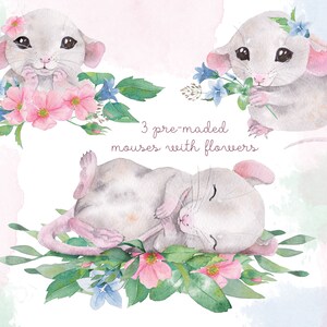 Lovely Mouse Watercolor Clipart, Baby Nursery Clip Art, Rose and ...