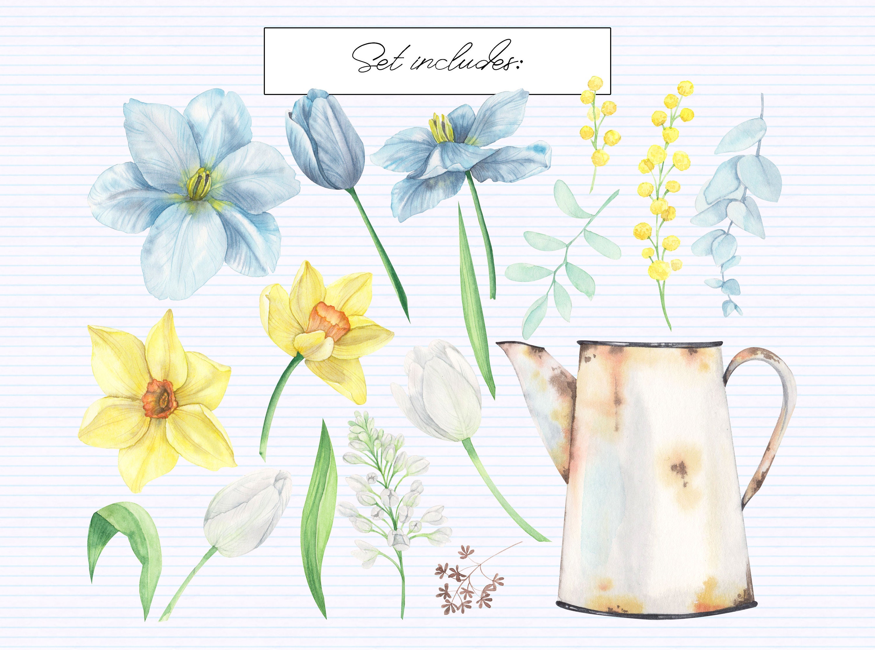 Watercolor Spring Flowers Clipart Tulips Narcissus Mimosa - Etsy