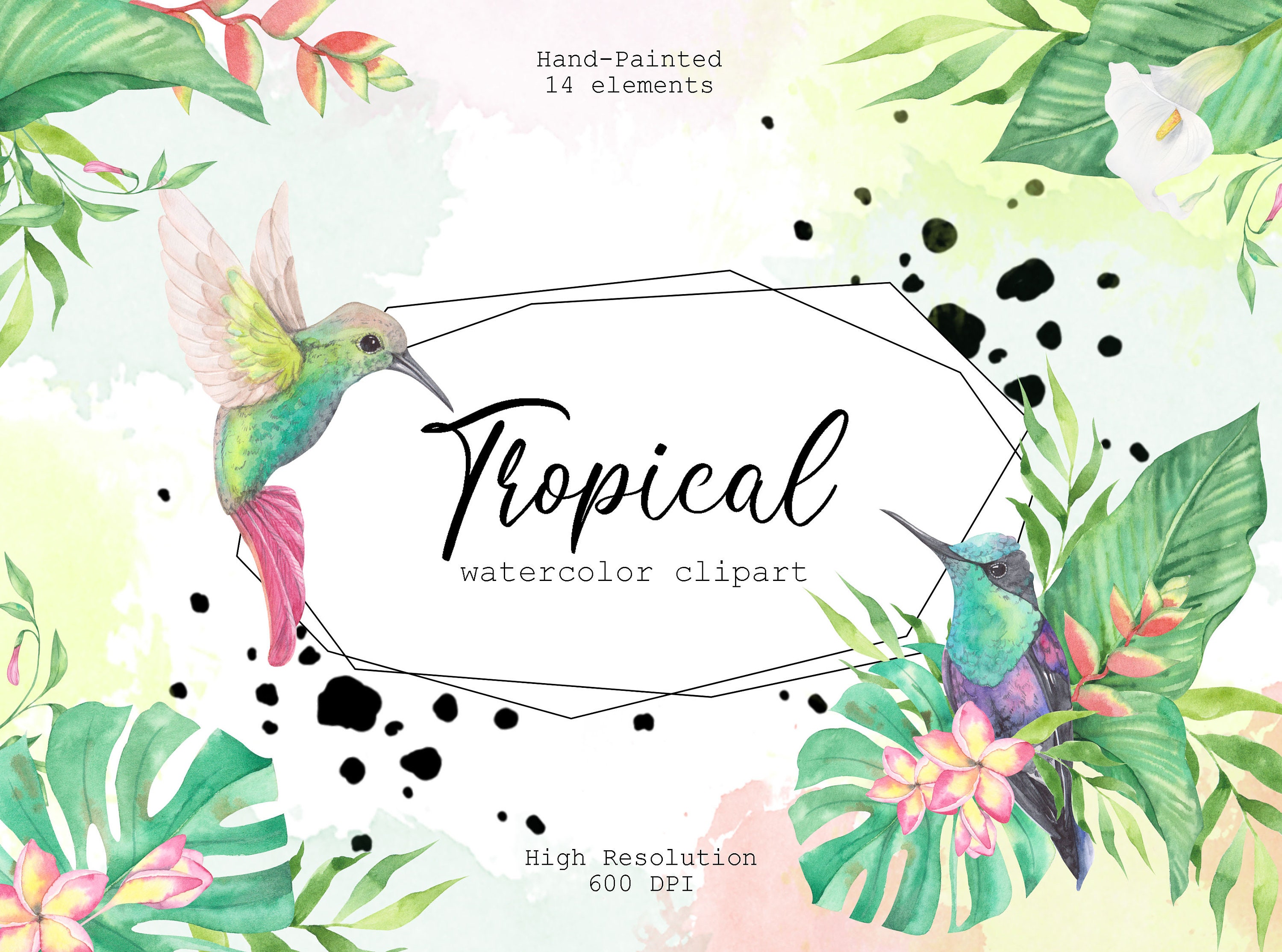 Watercolor Tropical Theme Clipart Hummingbird Palm Leaves - Etsy