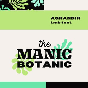 Custom Bold Edgy Brand Design • Custom Canva Logo Design + Social Media ...