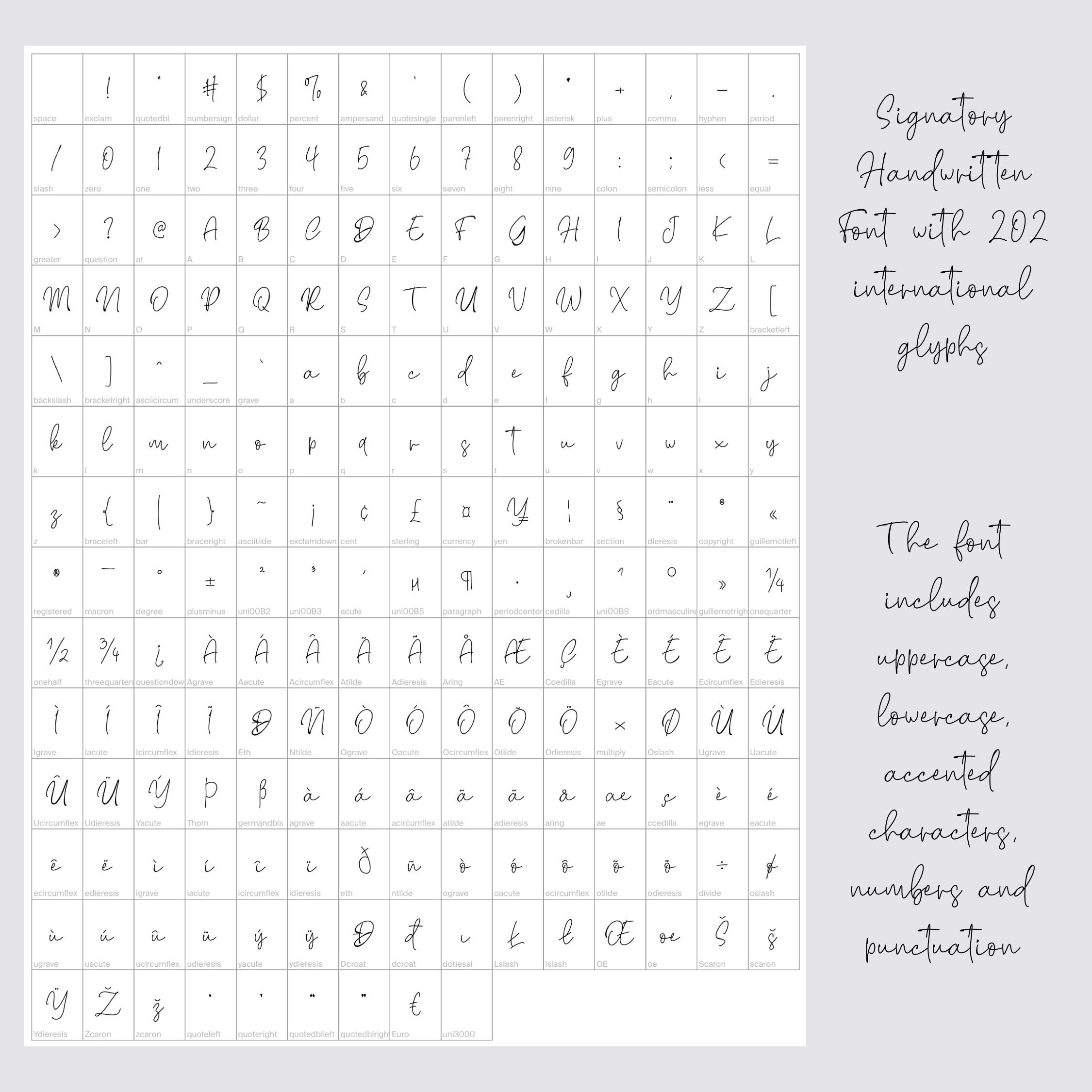SIGNATORY FONT, Handwritten Font, Digital Download Font, Script Font, Cricut Font, Calligraphy ...