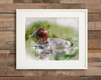 Canvasback Duck Print - Etsy