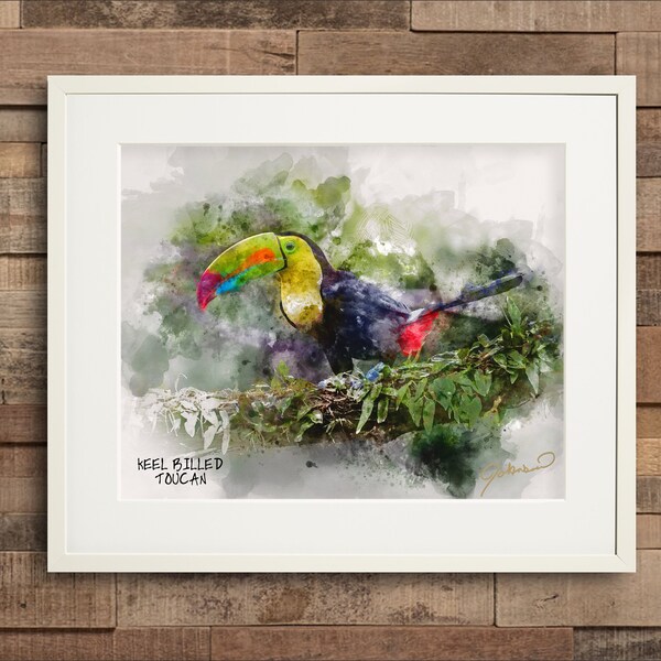 Keel Billed Toucan - Etsy