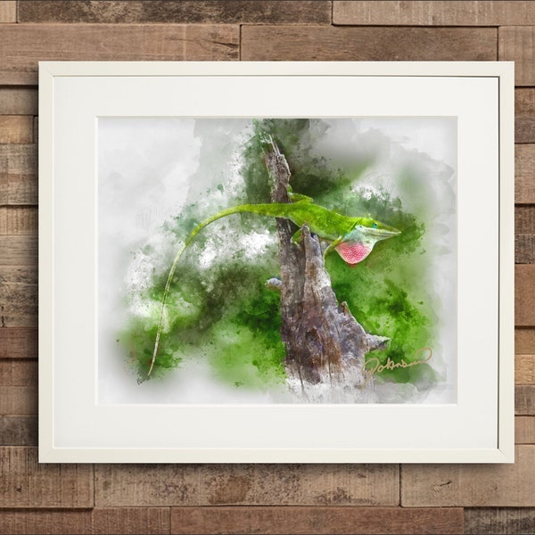 Anole - Etsy